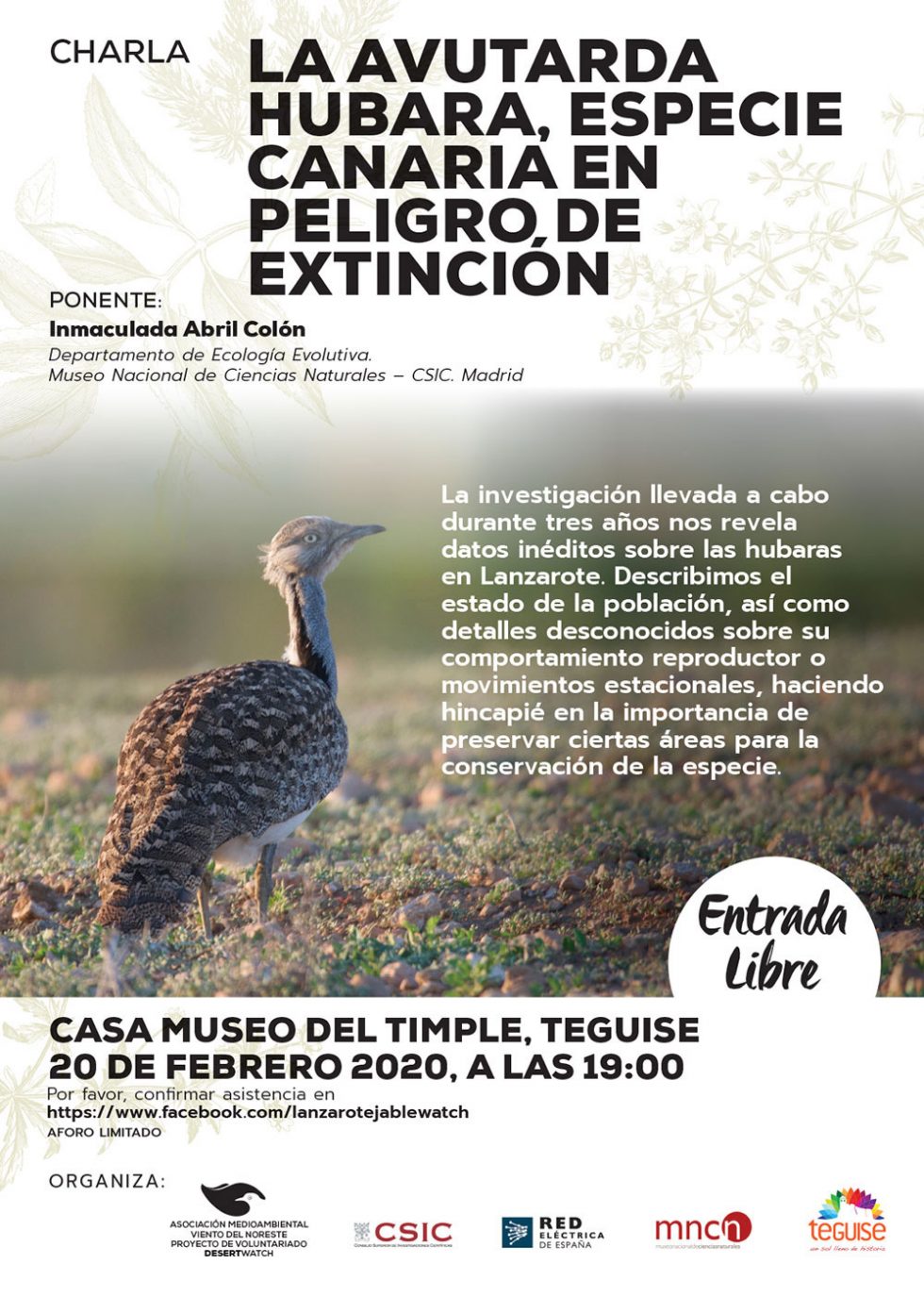 La avutarda hubara, especie canaria en peligro de extinción | Desert ...